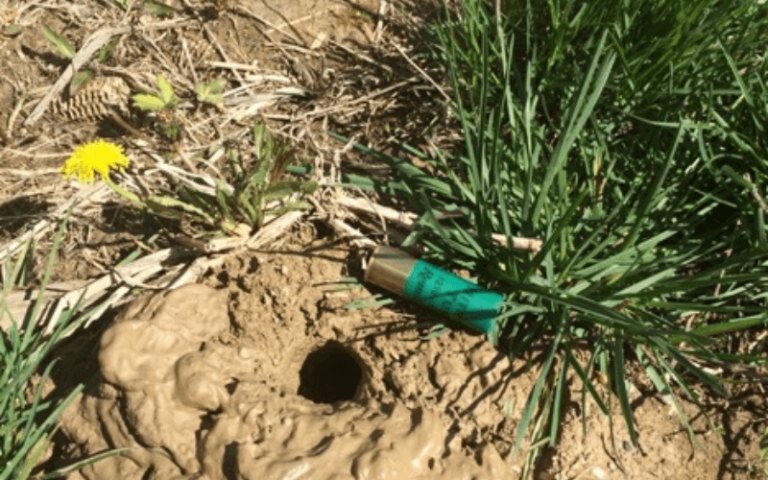 Crayfish Ecosystem ─ Invasive Crayfish Collaboration